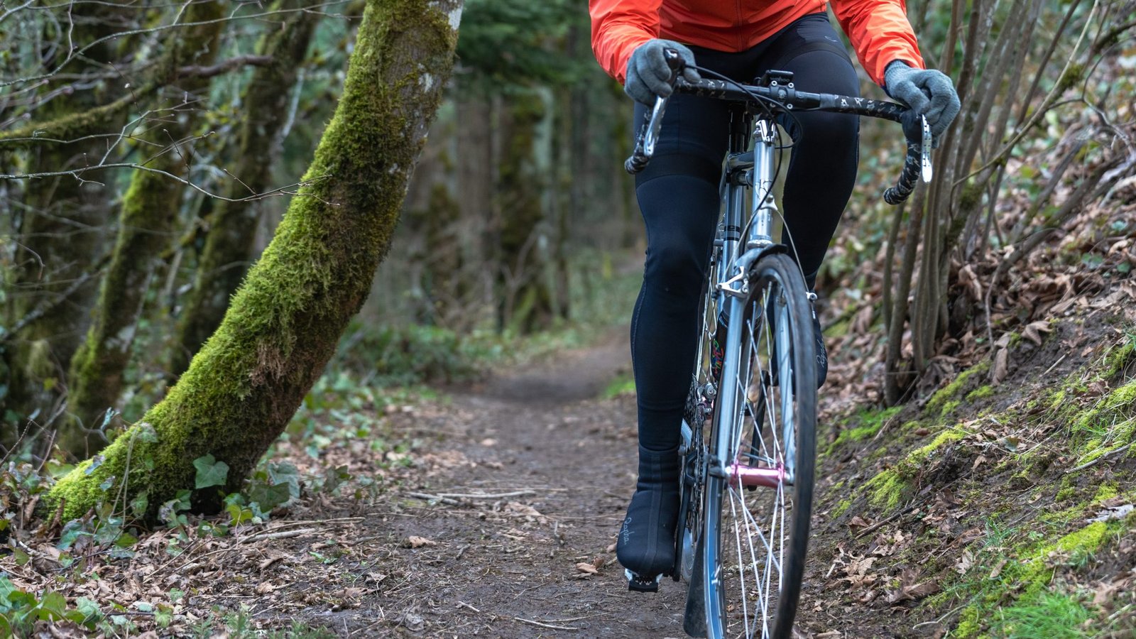Classics season!! – Ira Ryan Cycles